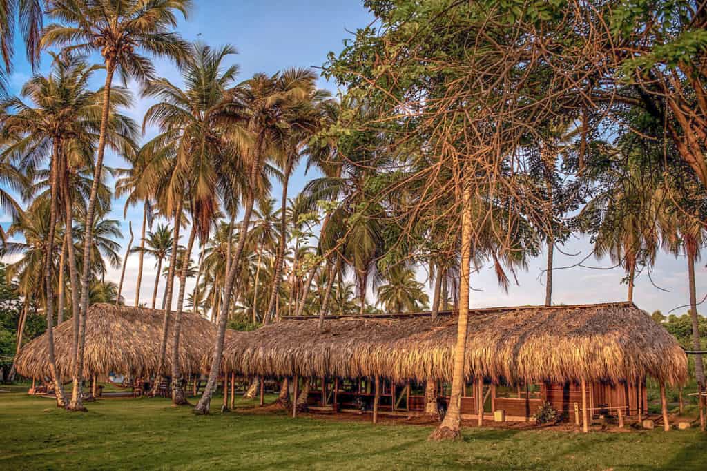 Todo lo que necesitas saber de la 【 Isla Múcura