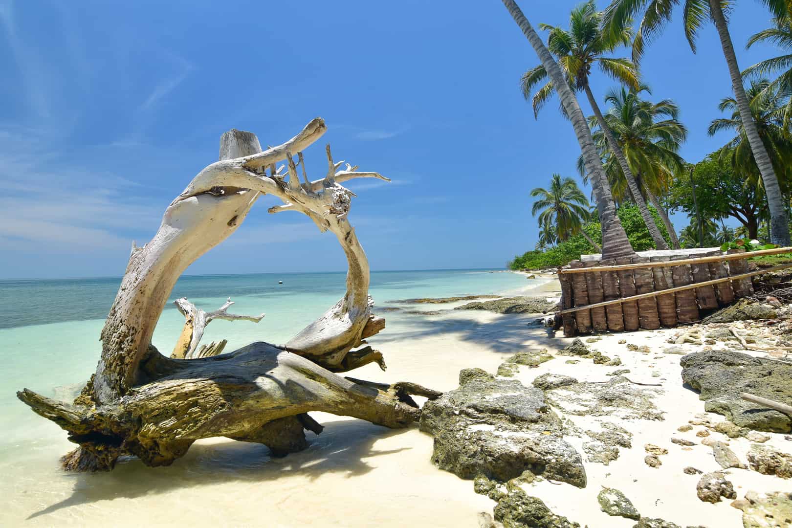 Todo lo que necesitas saber de la 【 Isla Múcura